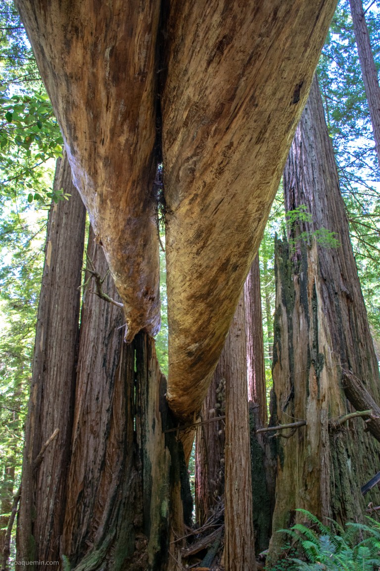 Finding Hyperion – Adventure Geography