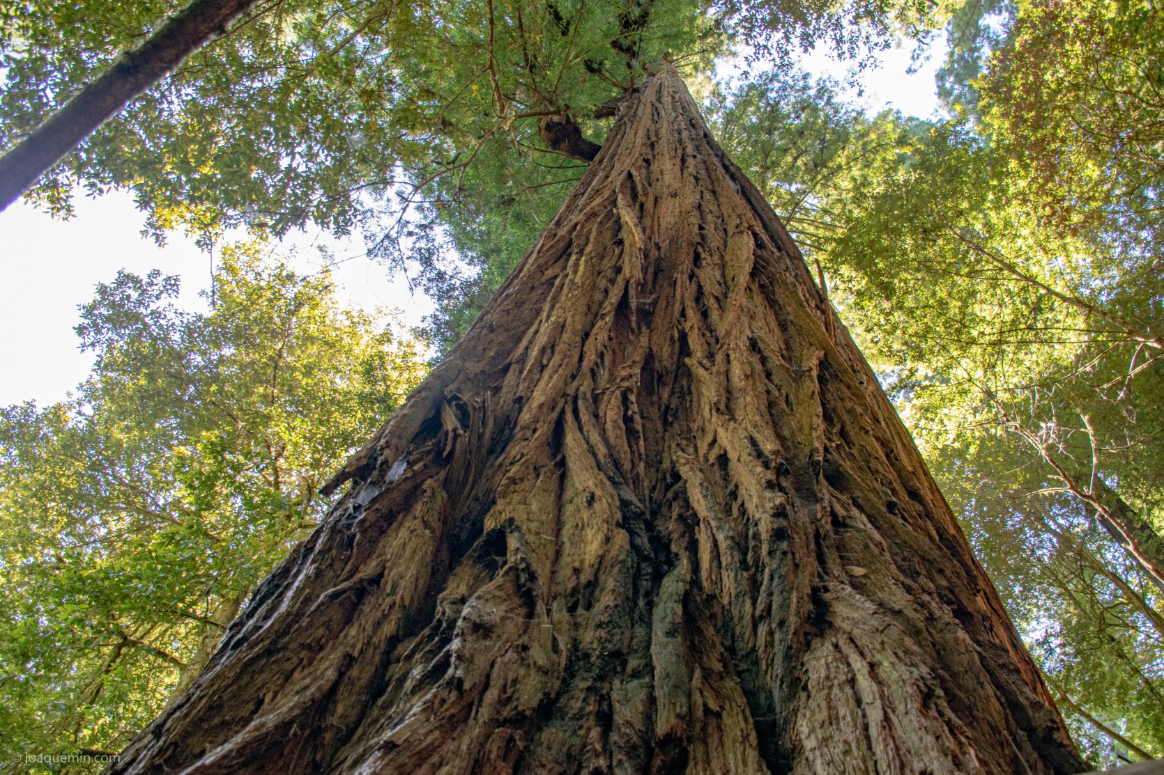 Finding Hyperion – Adventure Geography