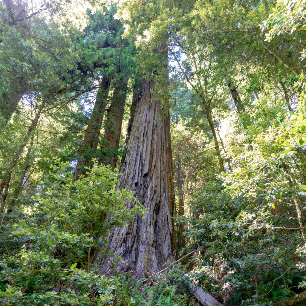 Finding Hyperion – Adventure Geography